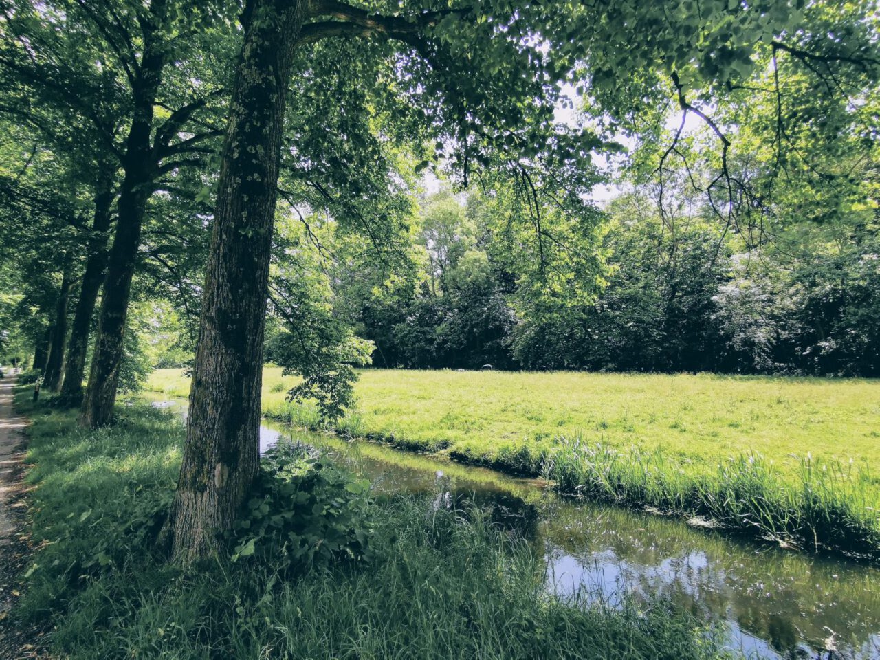 Wandeling bij Kasteelgaarde Rhoon - When in Holland
