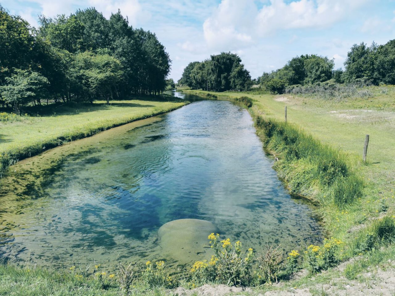De Amsterdamse Waterleidingduinen - When in Holland